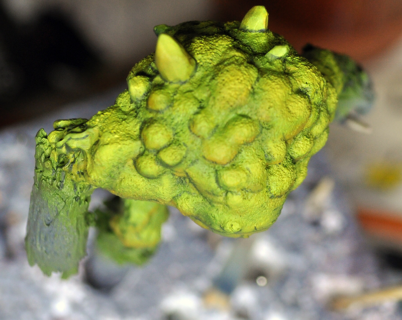 Nature invocator with imp | planetFigure | Miniatures