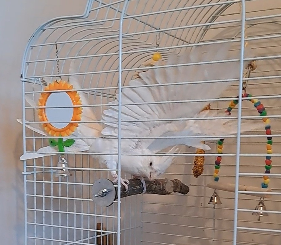 20240328 142834 Gallery — Postimages