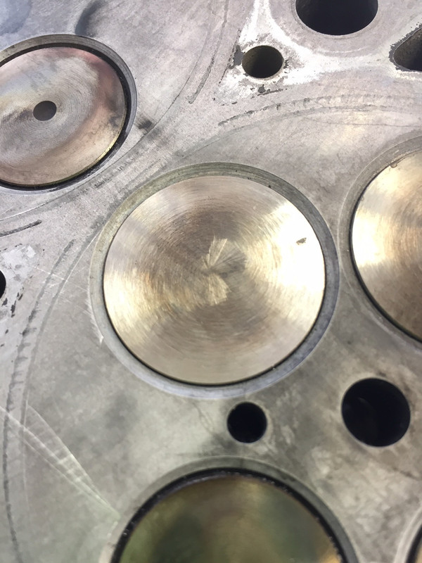 IMG 3458 — Postimages