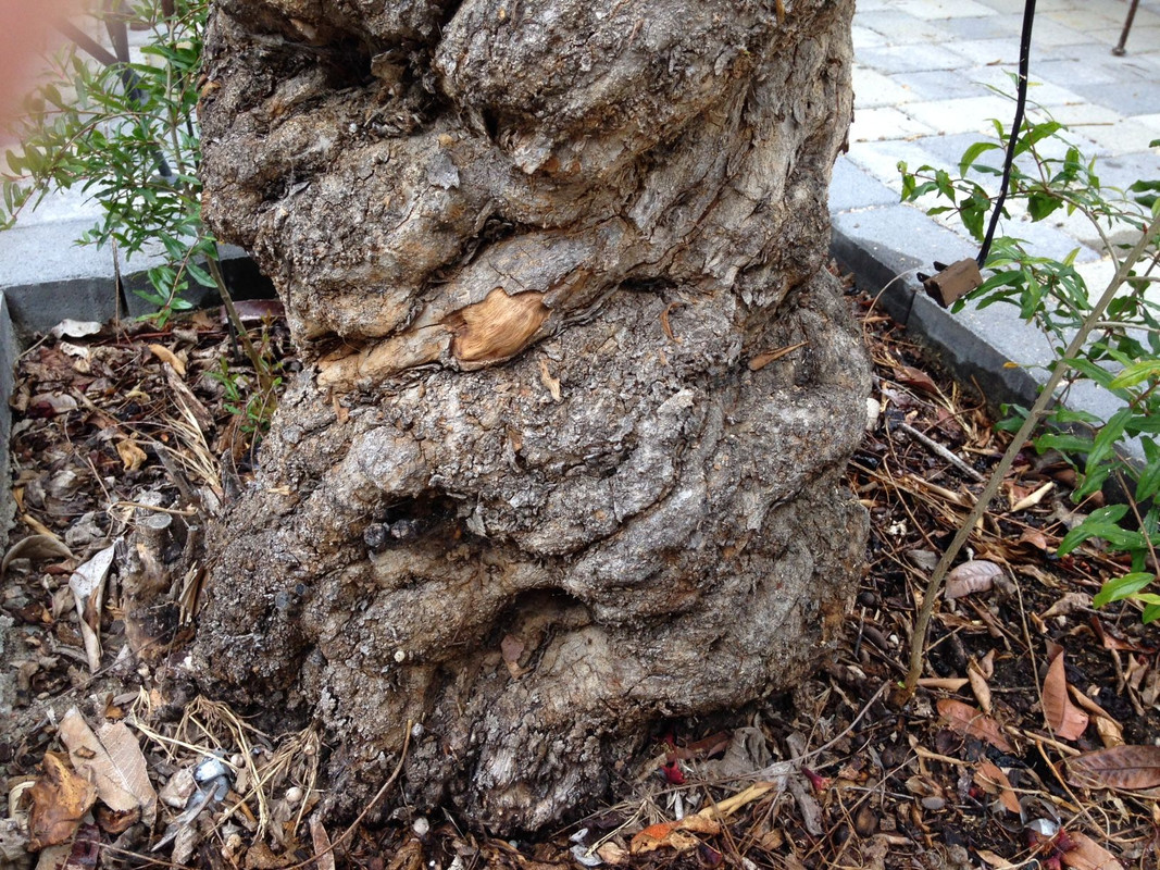 IMG 0246 — Postimages