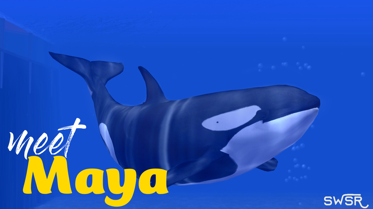 SeaWorld Shanghai - Page 2 - The ZT2 Round Table