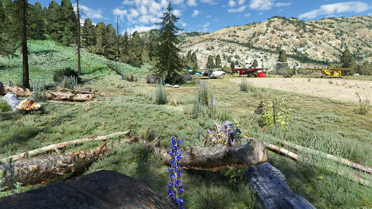 Camping in the free nature...an adventure - Community Screenshots ...