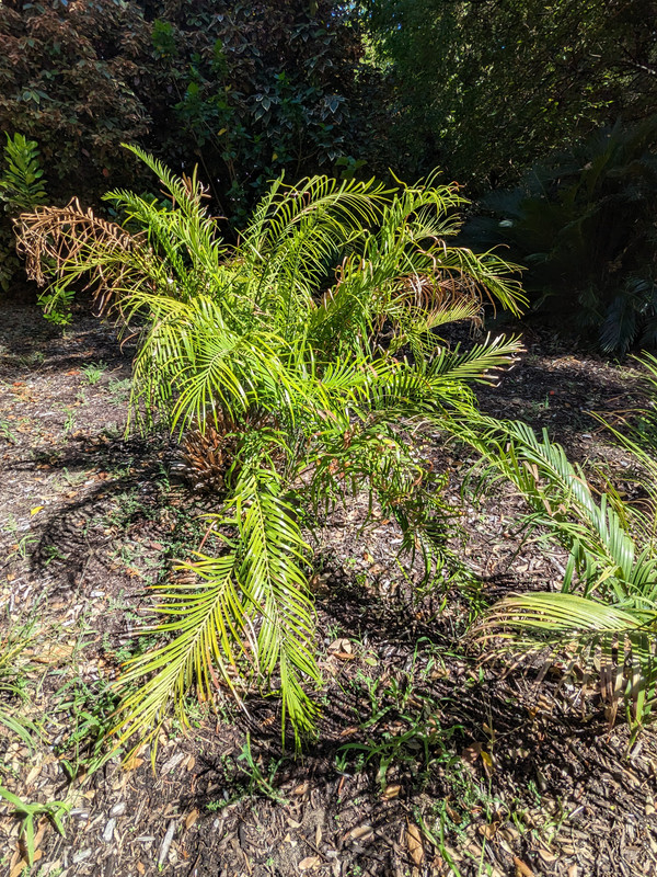 PXL 20240311 023810093 — Postimages