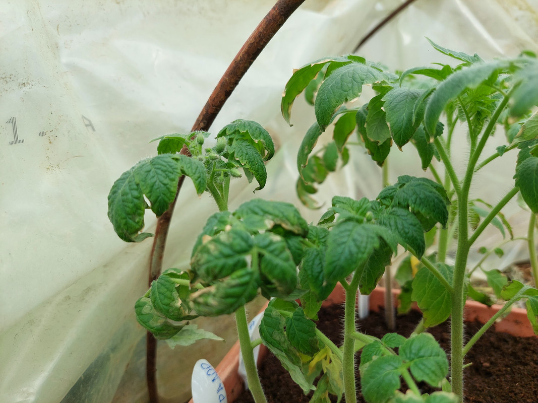 20220329 142224 — Postimages