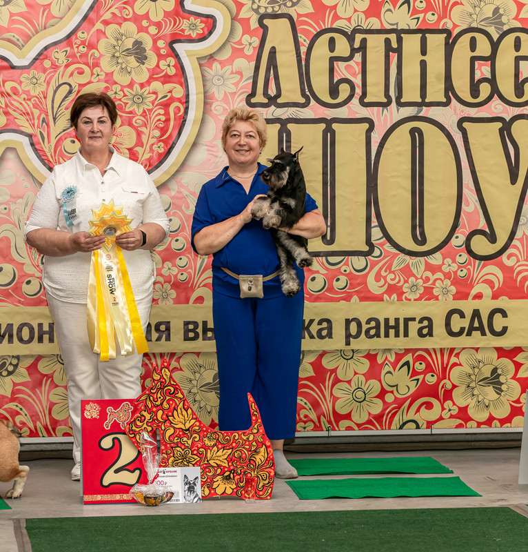 186 CR2 — Postimages