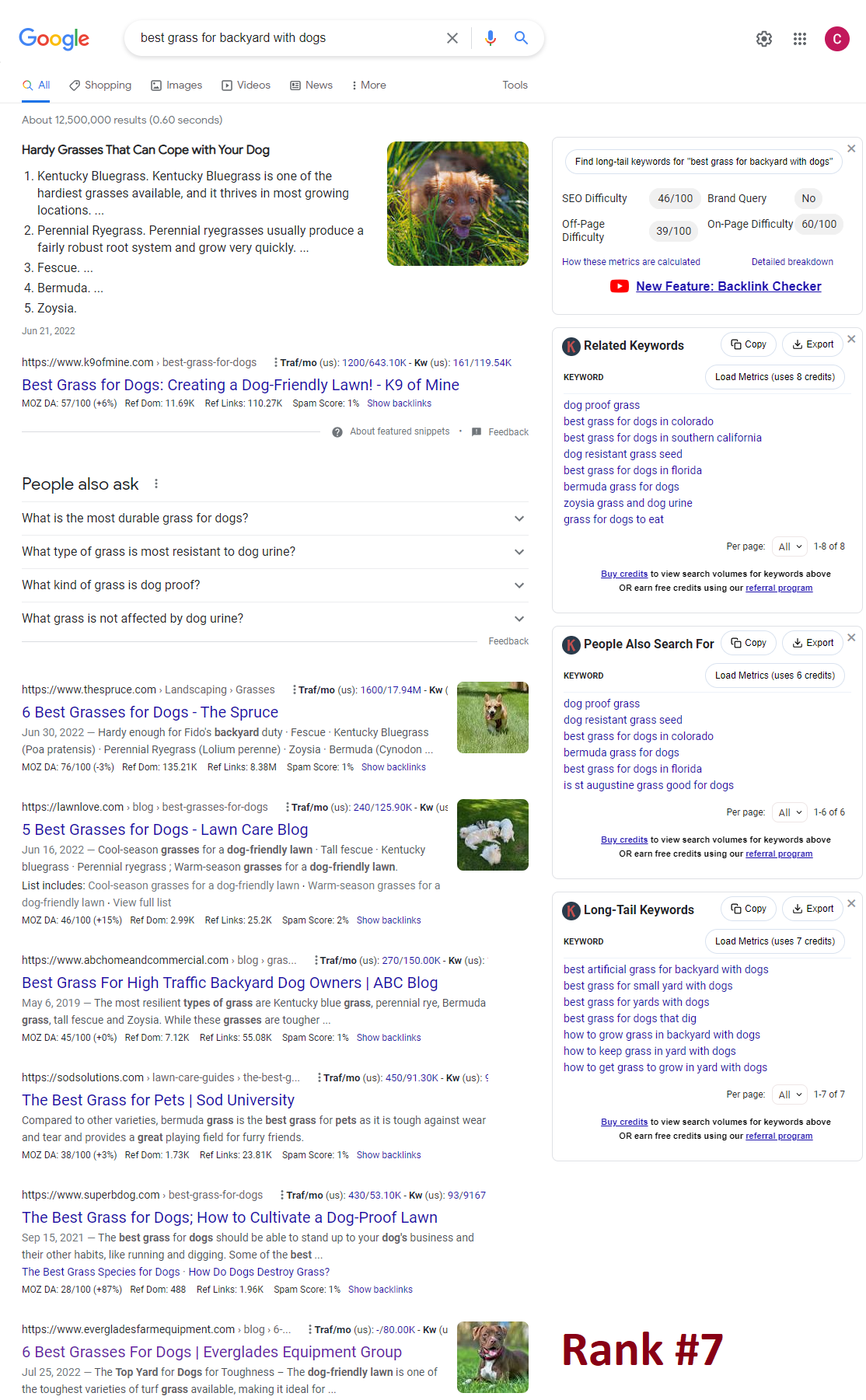 7 best grass for backyard with dogs — Postimages