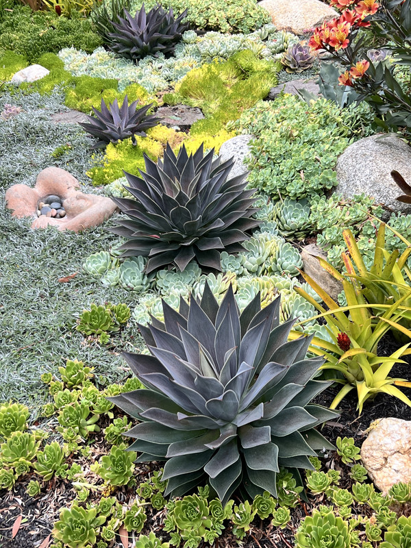 IMG 6697 — Postimages