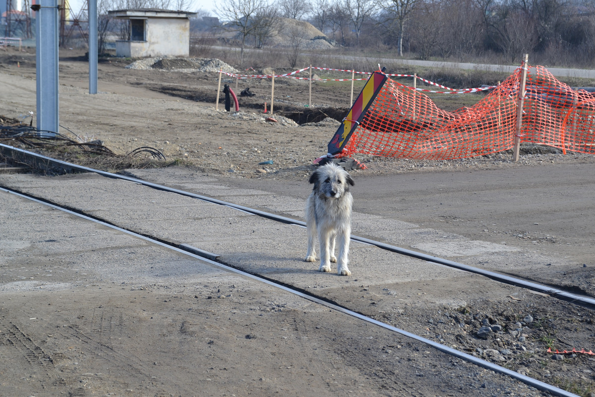 DSC 7614 — Postimages