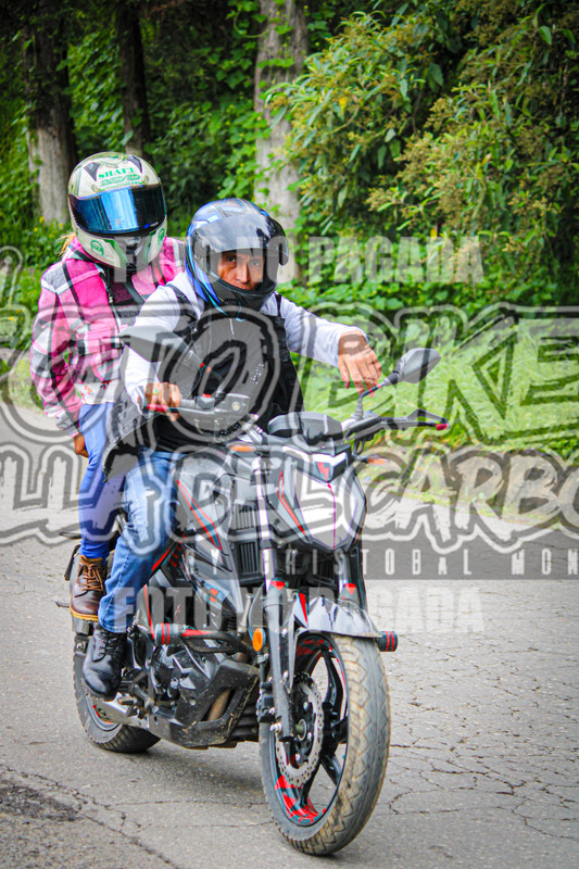 pv08s 1013 — Postimages