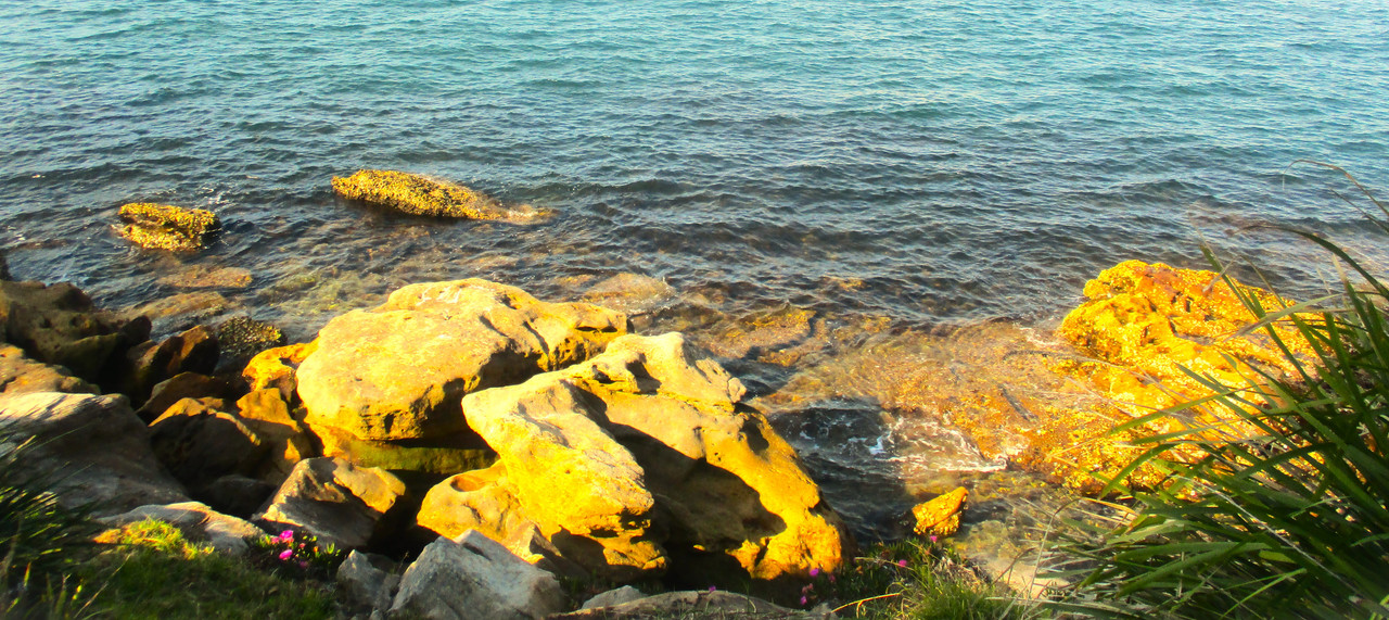 IMG 0467 — Postimages