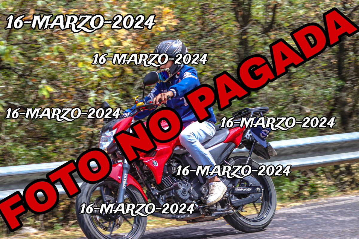 CA 1079 — Postimages