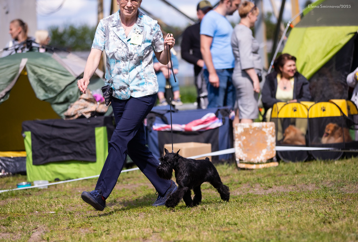 MG 4966 — Postimages