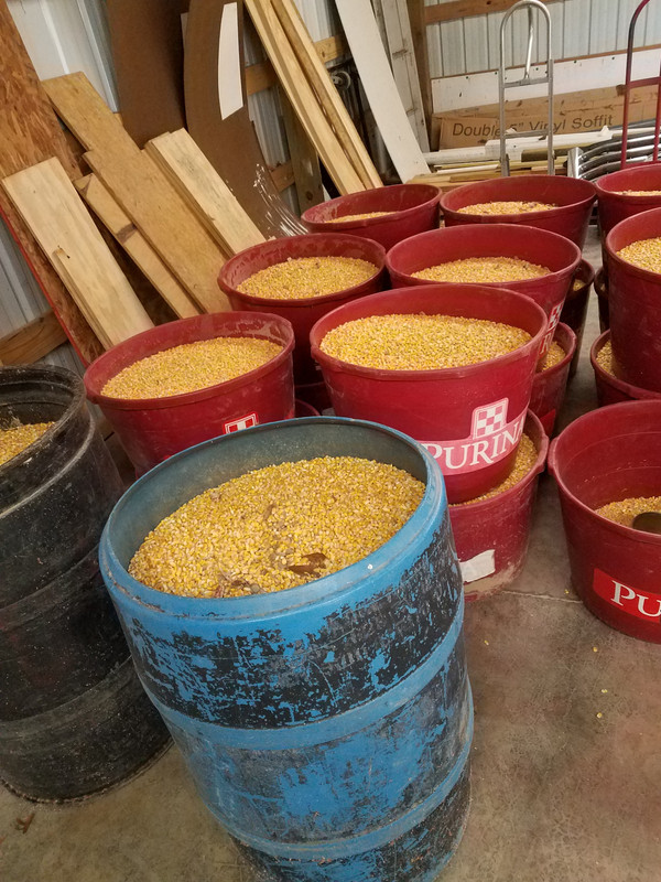 20191112 125204 — Postimages