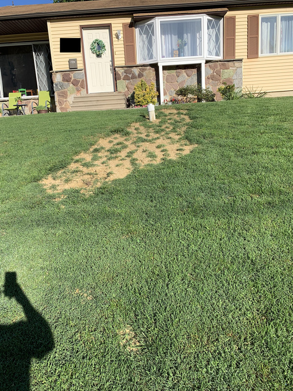 IMG 1896 — Postimages