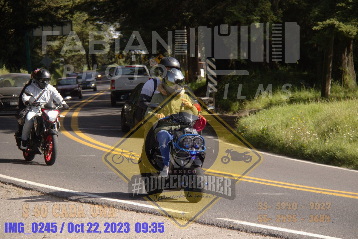 IMG 0245 — Postimages