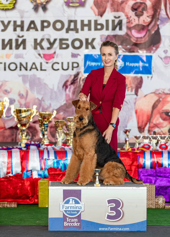 01 235 — Postimages