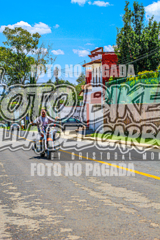 Album — Postimages