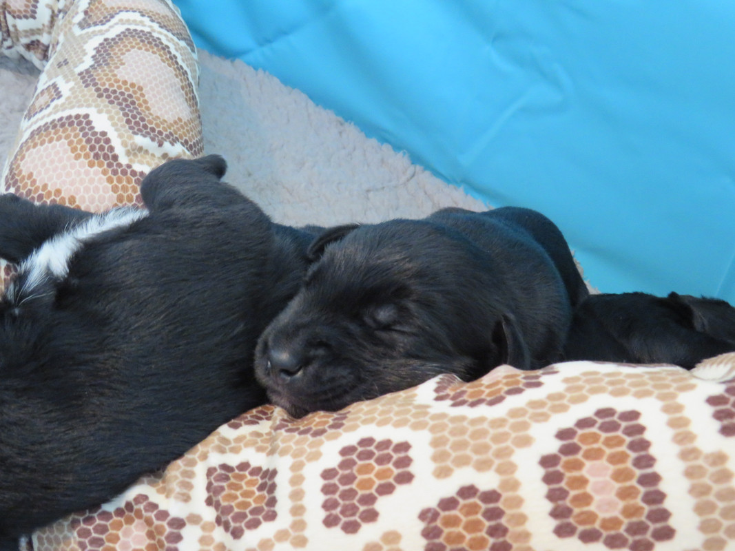 20220325133237 IMG 8140 — Postimages