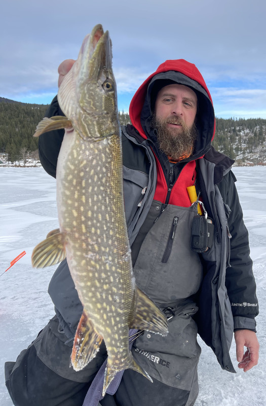 19 D91 AF1 65 AE 43 E3 9892 ACC6158 ABD49 — Postimages