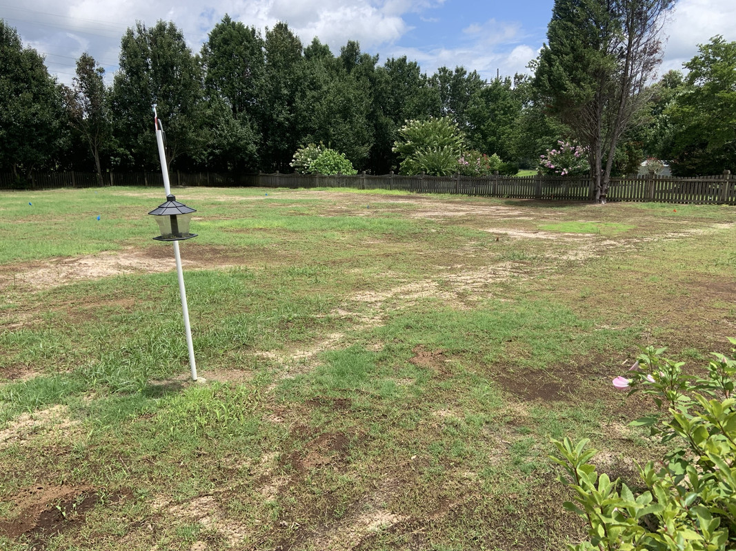 IMG 0594 — Postimages