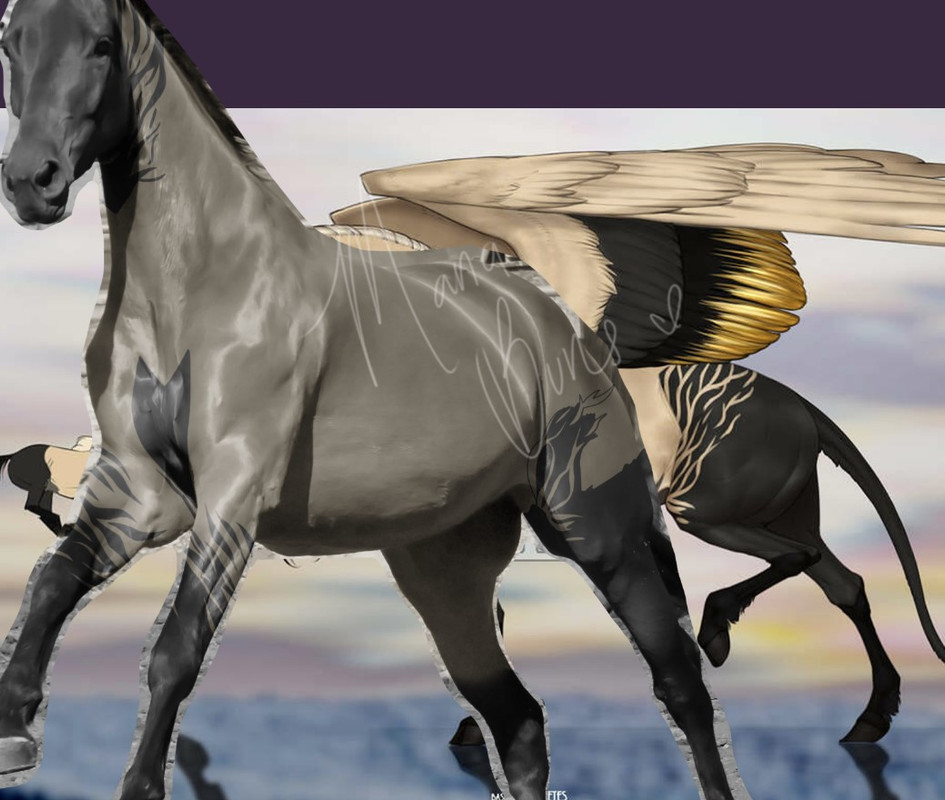 lost comm 2 — Postimages