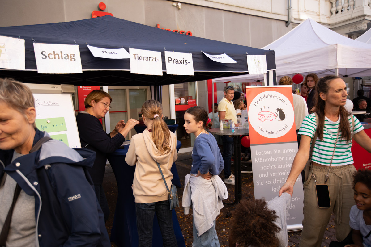 1037 IMG 2213 — Postimages