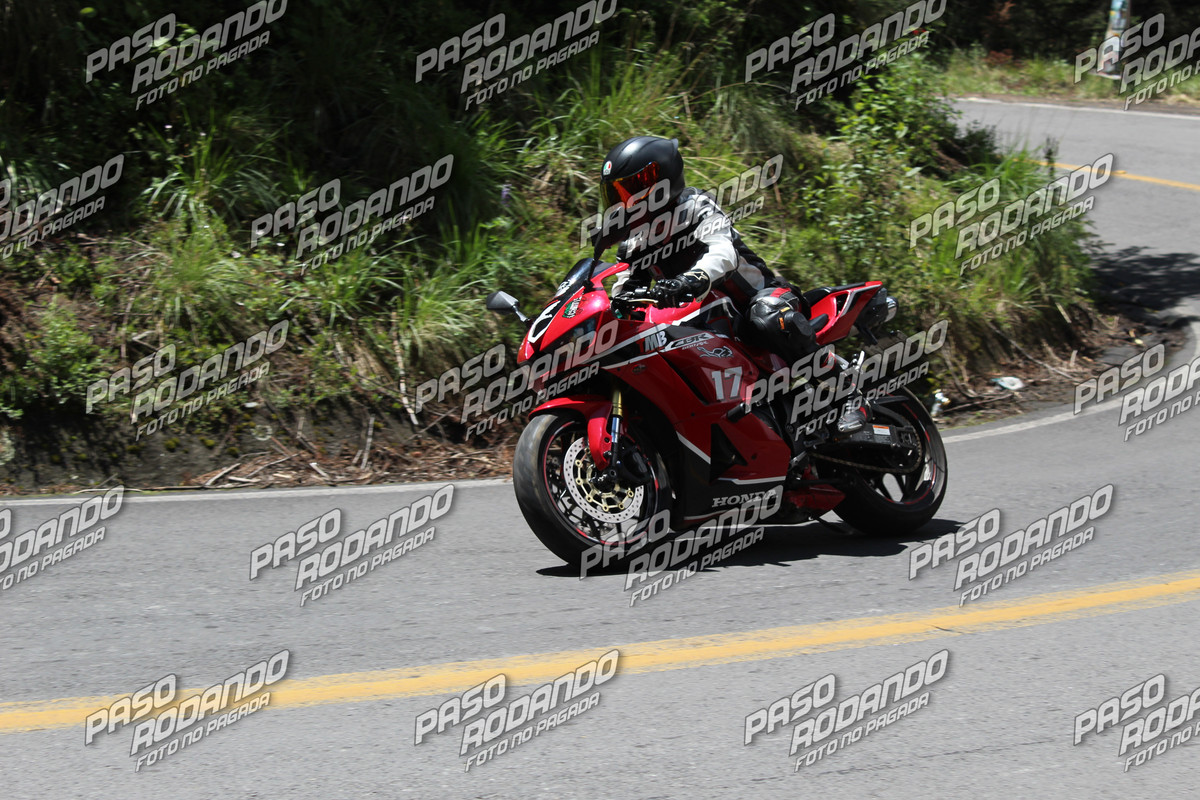 IMG 8168 wm 9343564 100000001 watermarked — Postimages