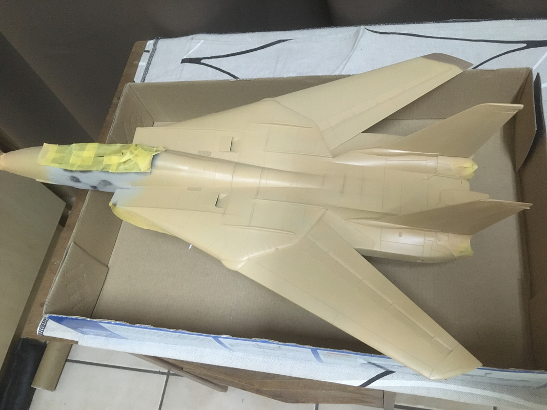 Tamiya F-14A - Maj Jalil Zandi - Page 3 - Aces High - Large Scale Planes