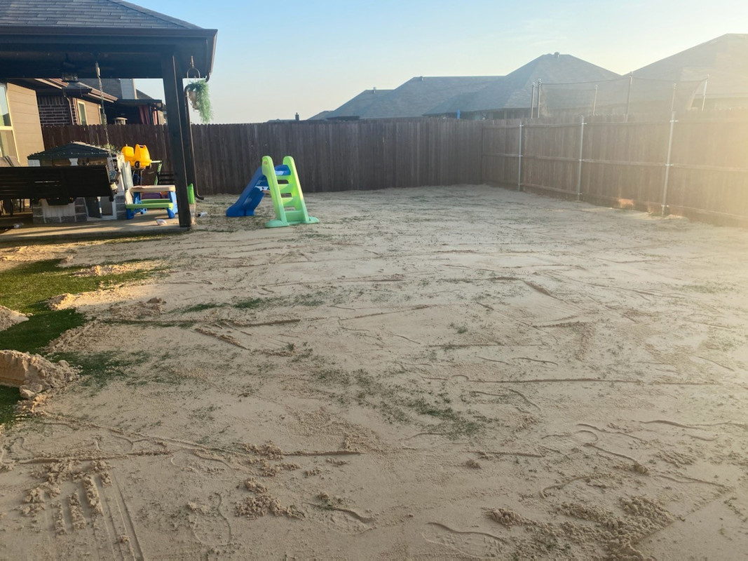 back yard — Postimages