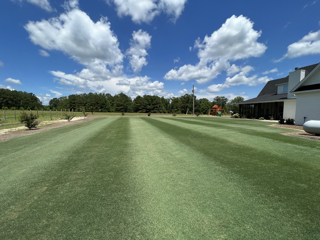 03003030 C7 A4 414 D B5 AD 98805537 F152 — Postimages