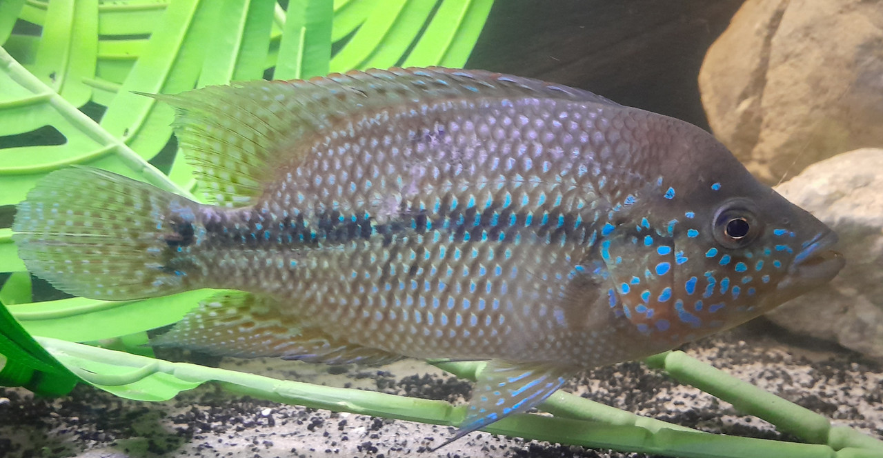 20221007 215705 — Postimages