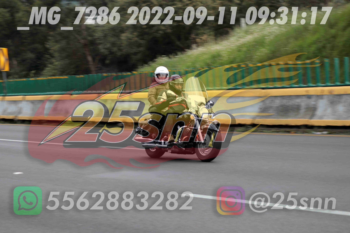 MG 7286 — Postimages