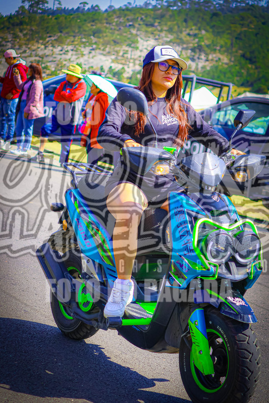 PL2 2007 — Postimages