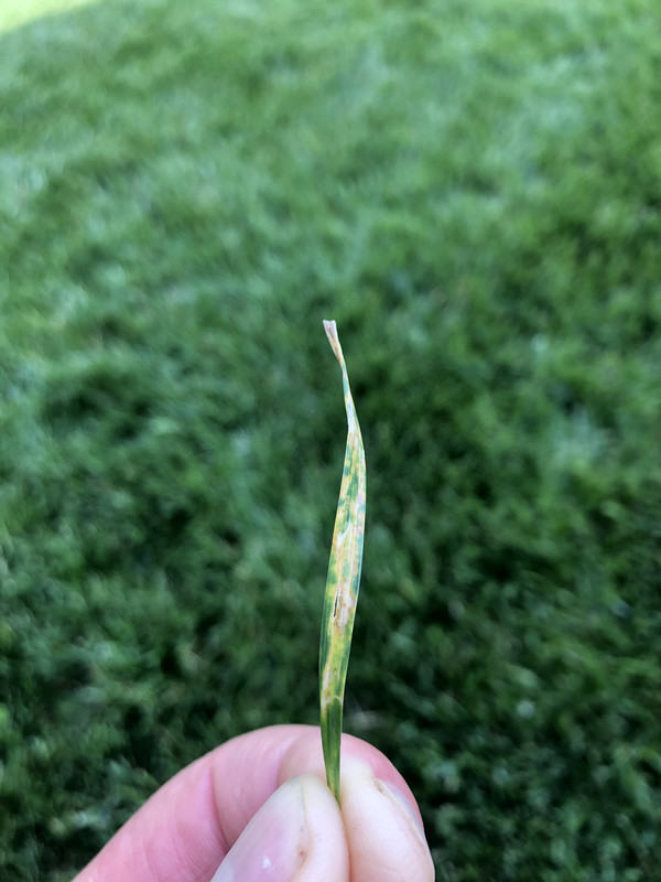 IMG 9261 — Postimages