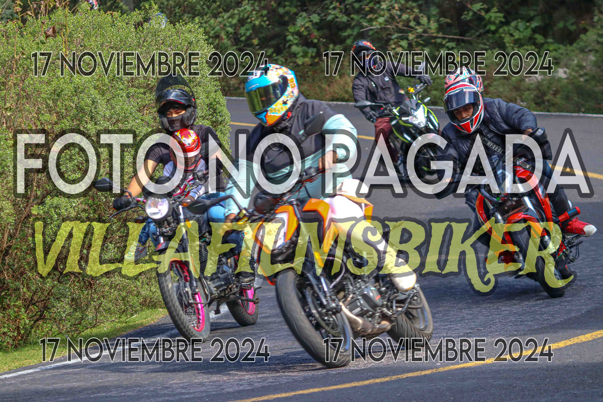 TC 2046 — Postimages