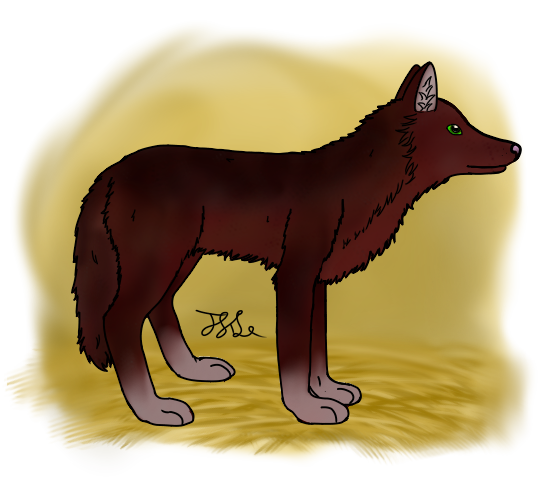 Wolf Play : HIdden World Adopts~Rooms~