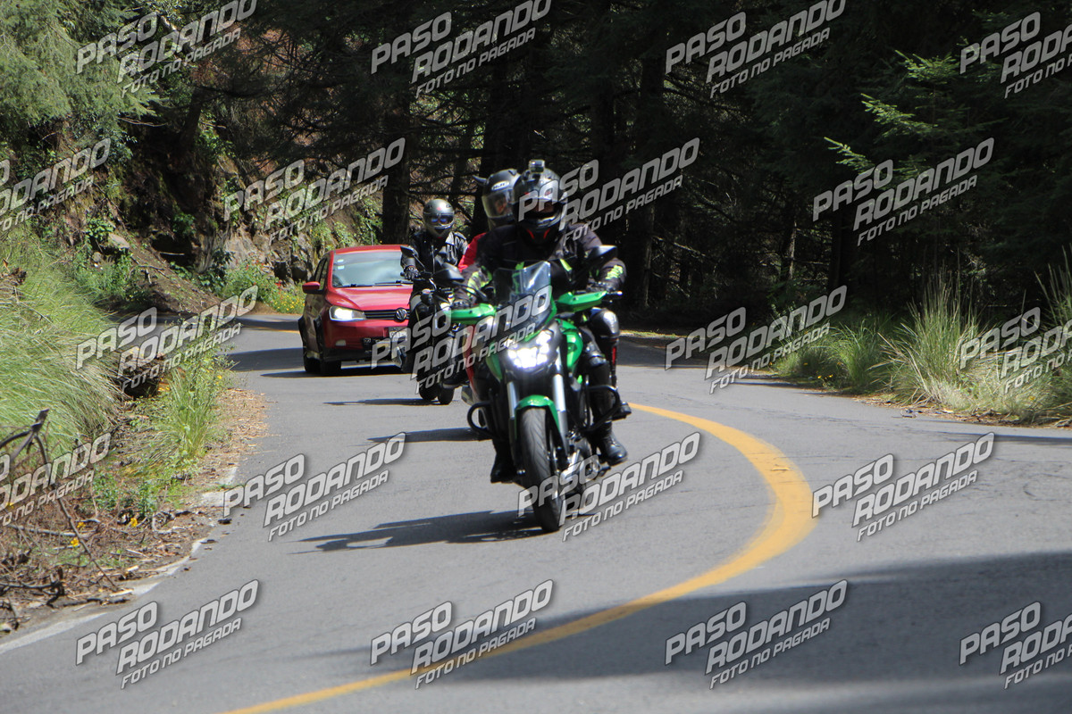 Album — Postimages