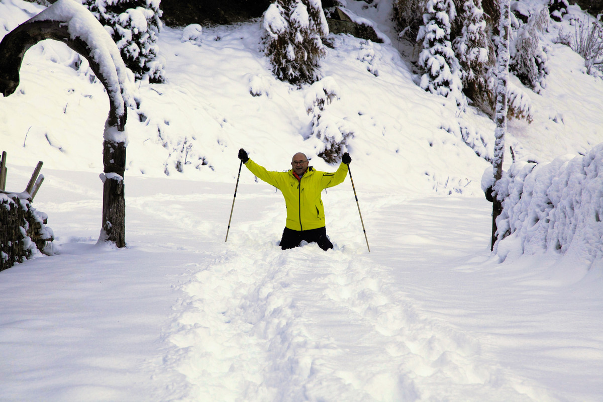 IMG 3223 Original — Postimages