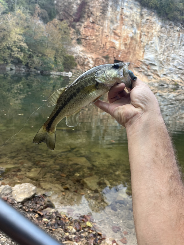 Your Most Beautiful Bass of 2022 - Page 4 - Fishing Reports - Bass ...