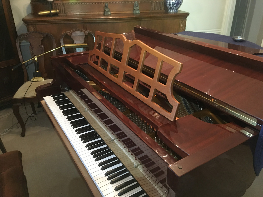 IMG 2003 — Postimages