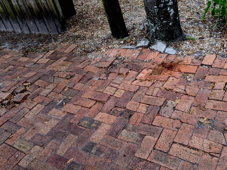 Tree roots under brick driveway | DIY Home Improvement Forum