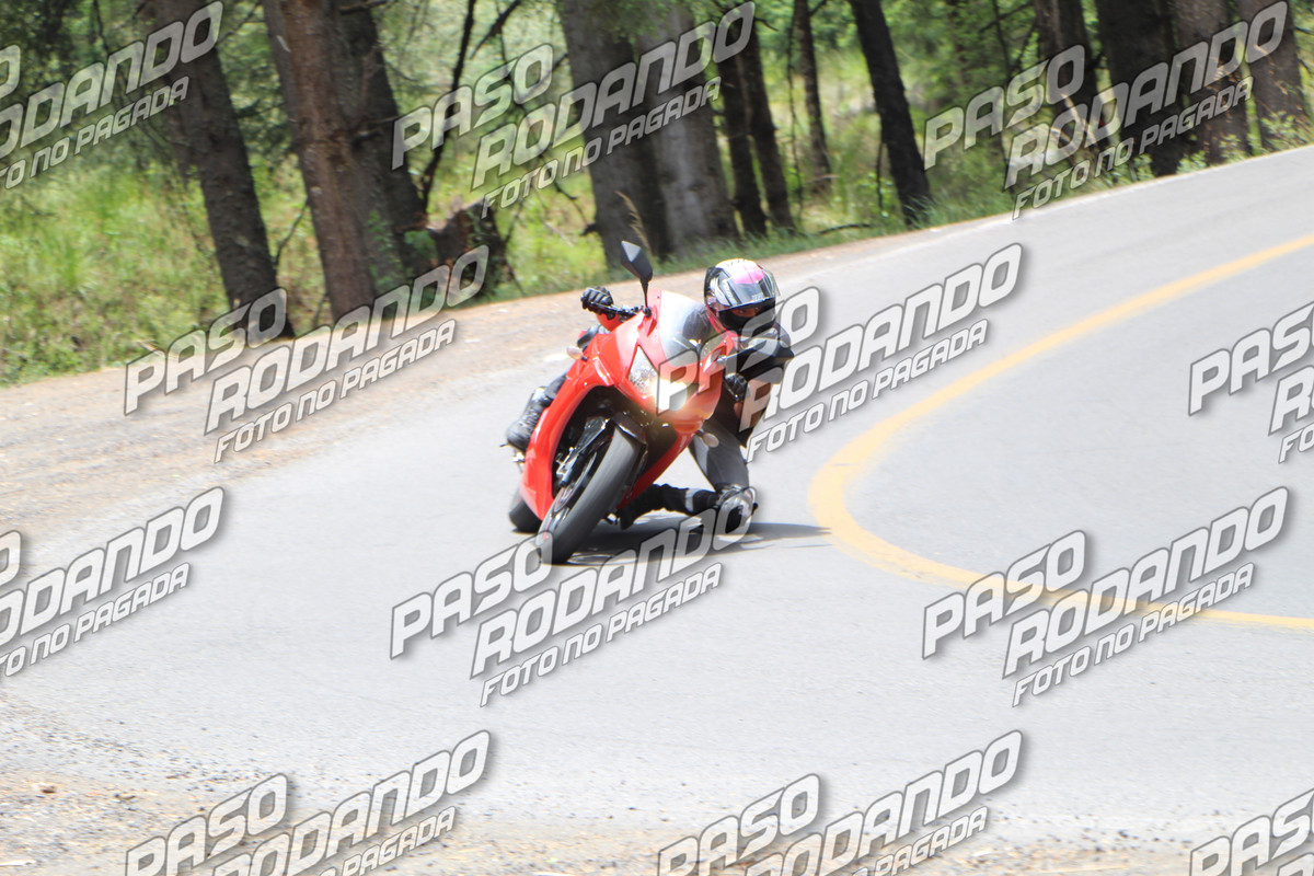 IMG 6792 wm 127694 40000000037 watermarked — Postimages