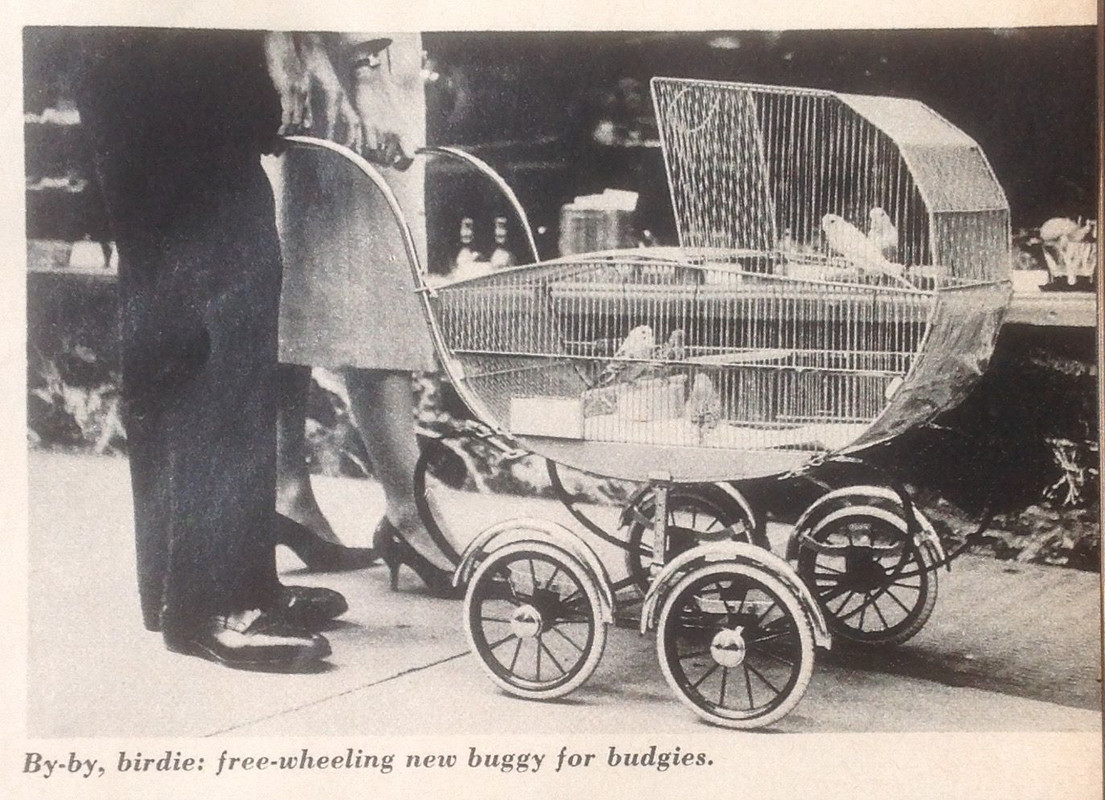 bird carriage 1960 — Postimages