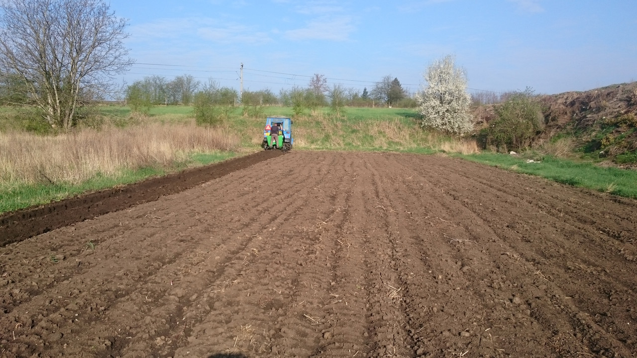 DSC 0975 — Postimages