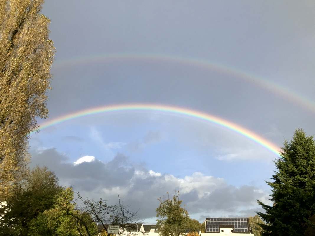 C217 E65 D 39 B4 4304 B526 078429827862 — Postimages