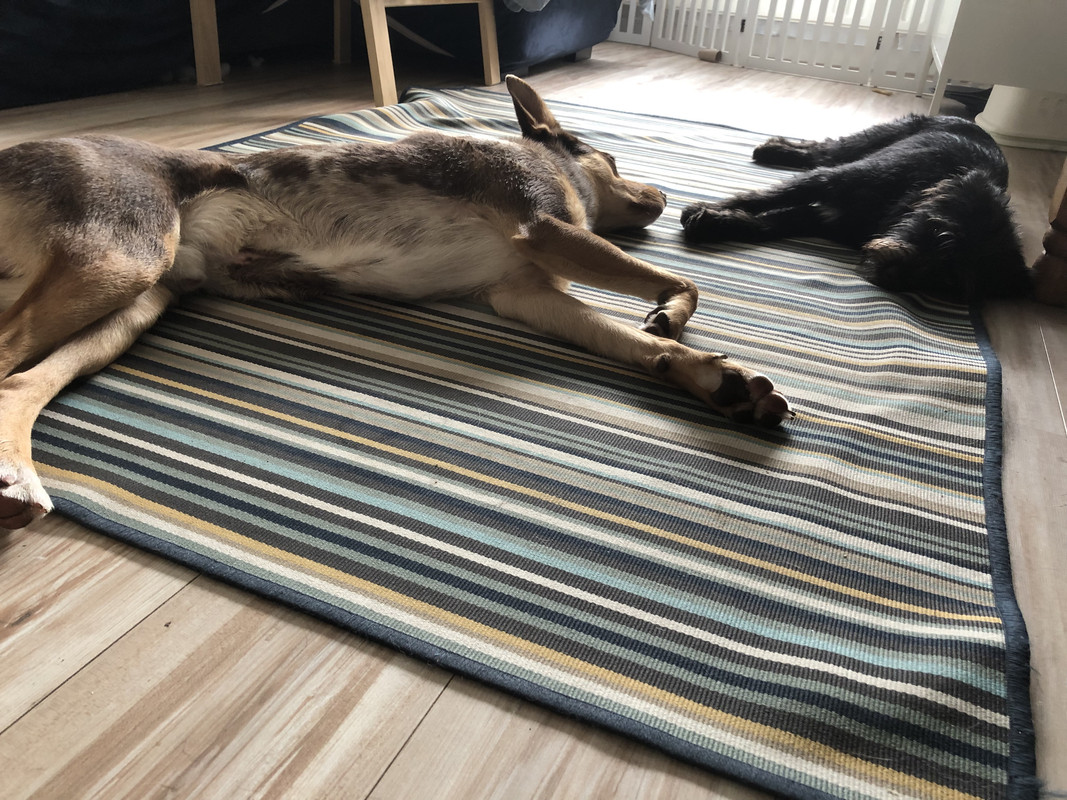 A877414 B DAD3 4 B34 9803 69 EC48 BA02 A4 — Postimages