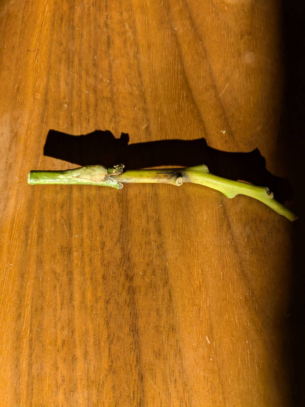 image000004 — Postimages