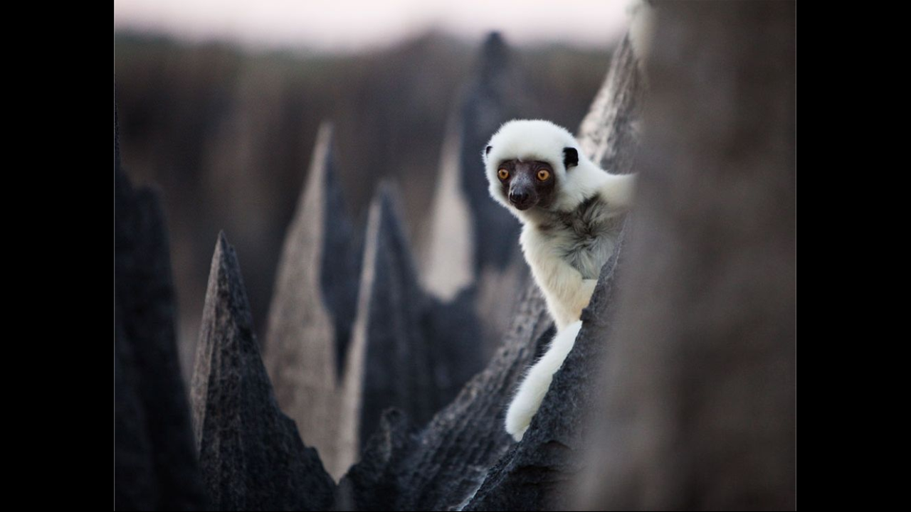 Capture d’écran (123) — Postimages