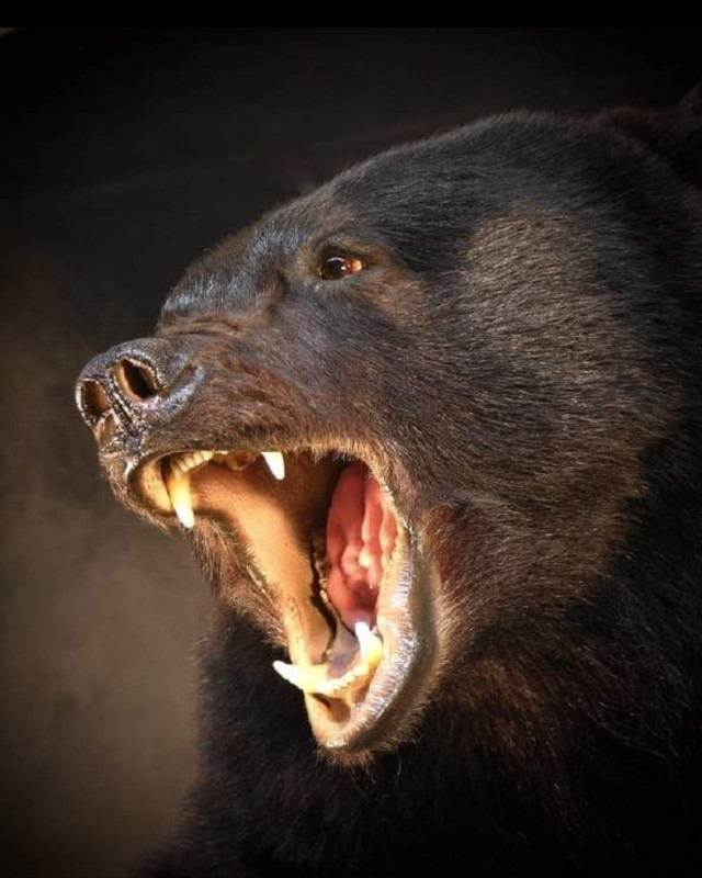 Screenshot 20230820 184241 Facebook — Postimages