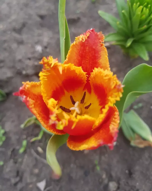 IMG 20230528 211746 124 — Postimages